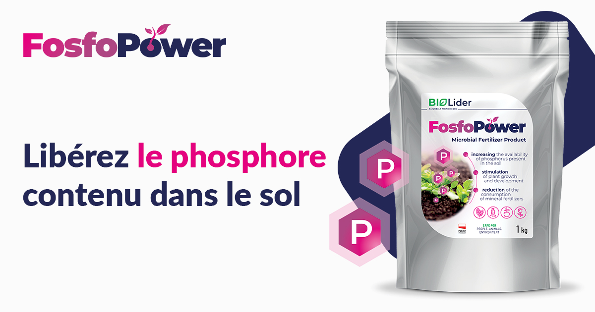 FosfoPower - engrais qui lie le phosphore du sol pour des cultures plus ...